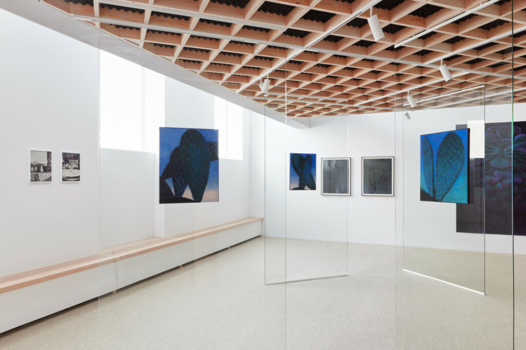Galerie Mees - Van de Wiele - Lille art up!