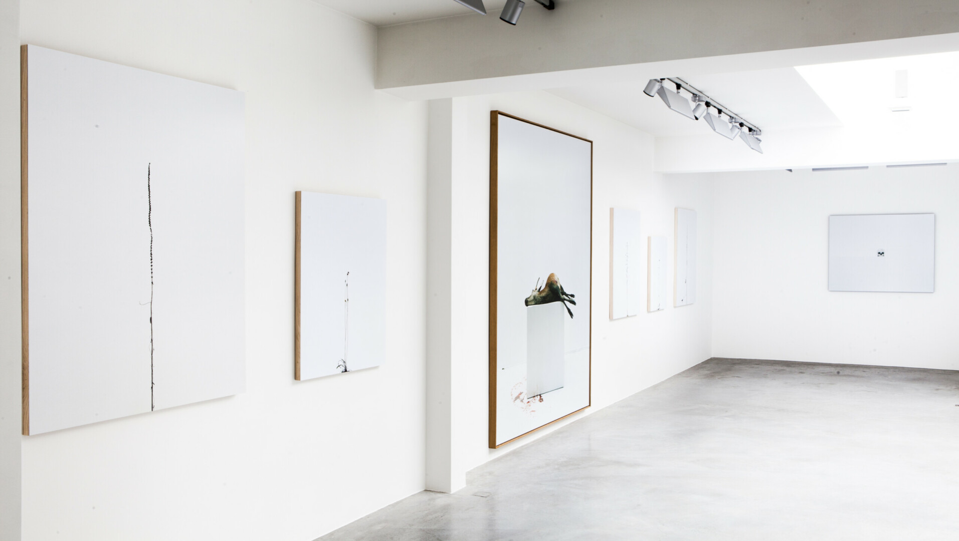 RASSON ART GALLERY - Lille Art Up!